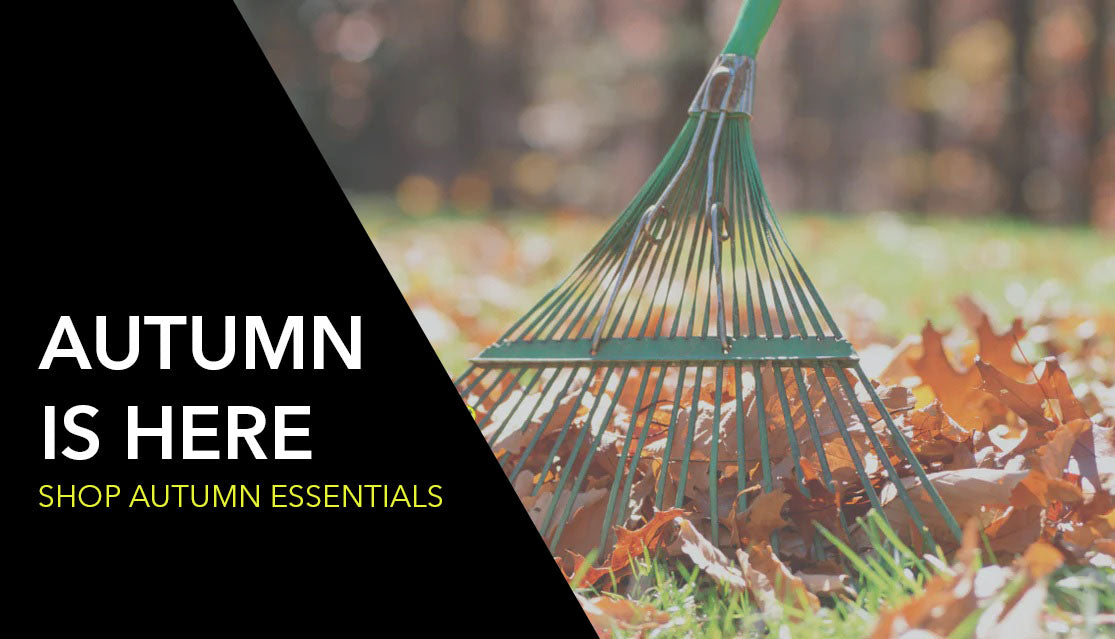 ToolBox Supply - Buy Hardware, Plumbing, Paints, Appliances & Tools ...