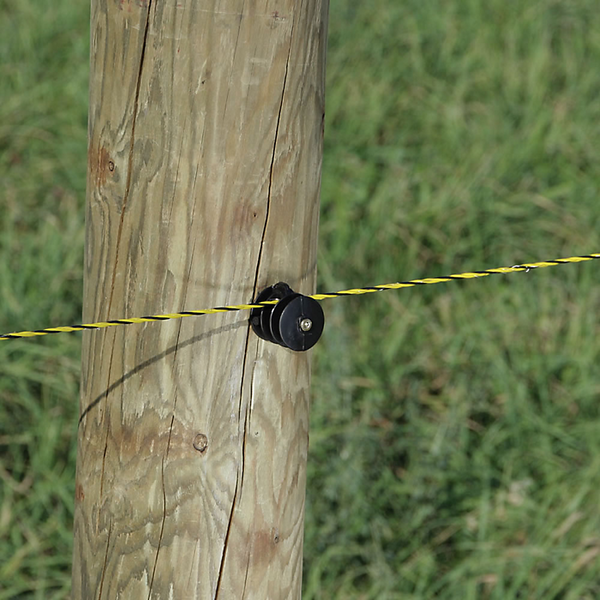 Red Snap'R IWKNB-RS Wood Post Knob Economy Insulator, Black – Toolbox ...